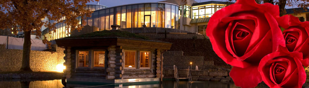 RappSoDie - Das Bad Rappenauer Sole- und Saunaparadies